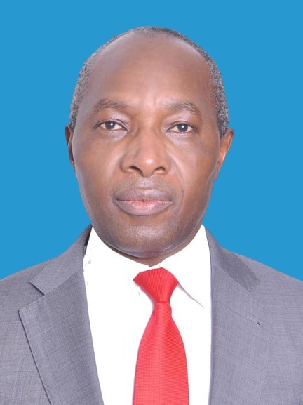 SIIPS Report 2023 Agenda – AfricaNenda